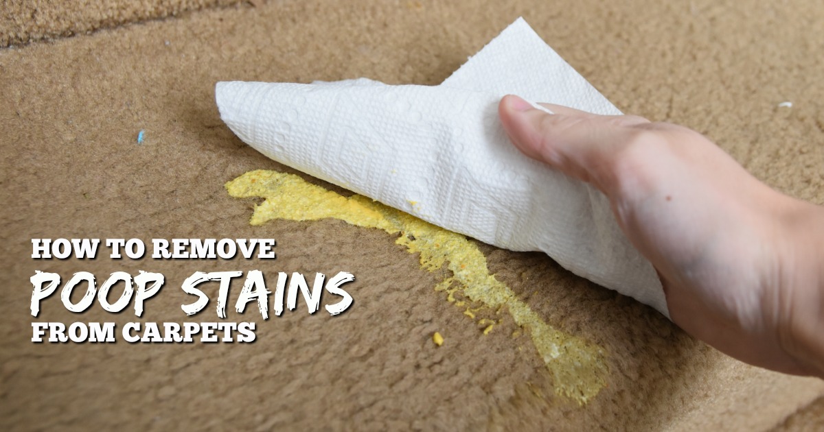 Remove Poop Stains and Smells from Carpets with this DIY Solution