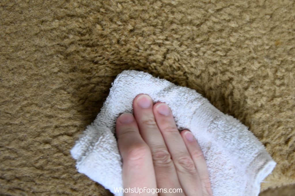 Remove Poop Stains and Smells from Carpets with this DIY Solution