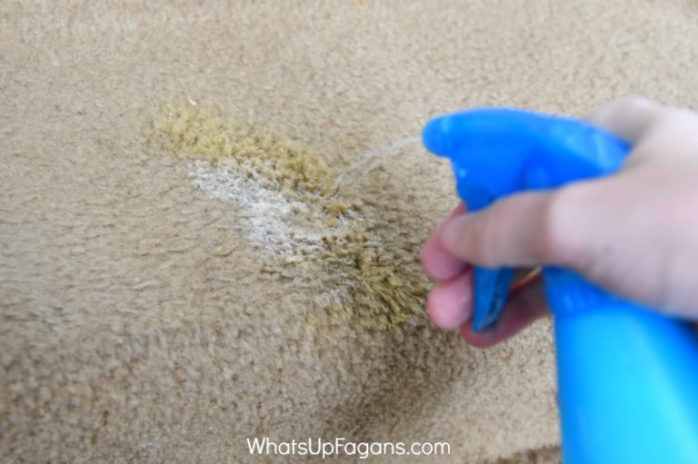 Remove Poop Stains and Smells from Carpets with this DIY Solution