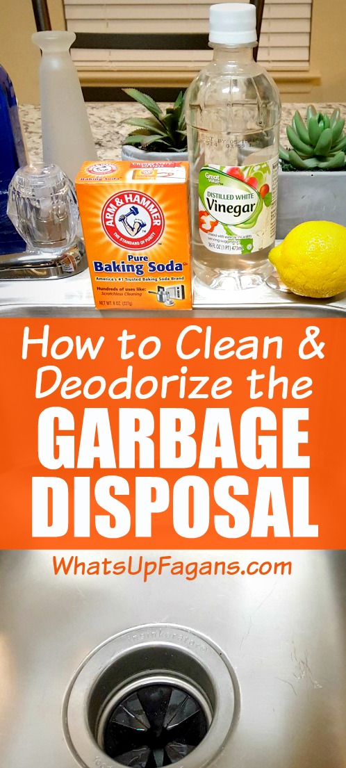 How to Clean and Deodorize Your Smelly Garbage Disposal