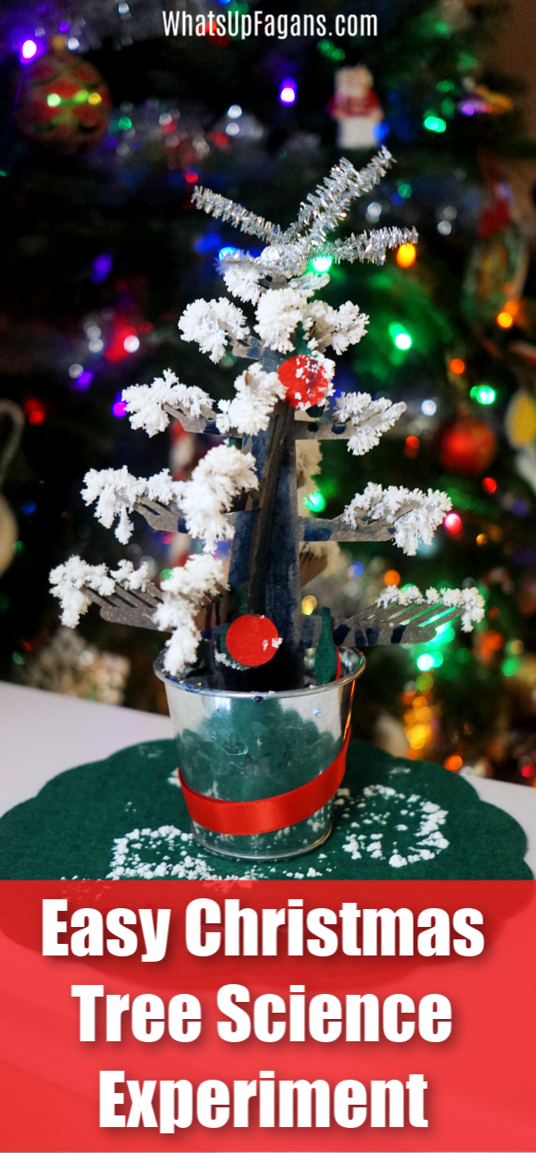 An Easy Christmas Science Experiment for Kids - Grow Snow on a Tree!