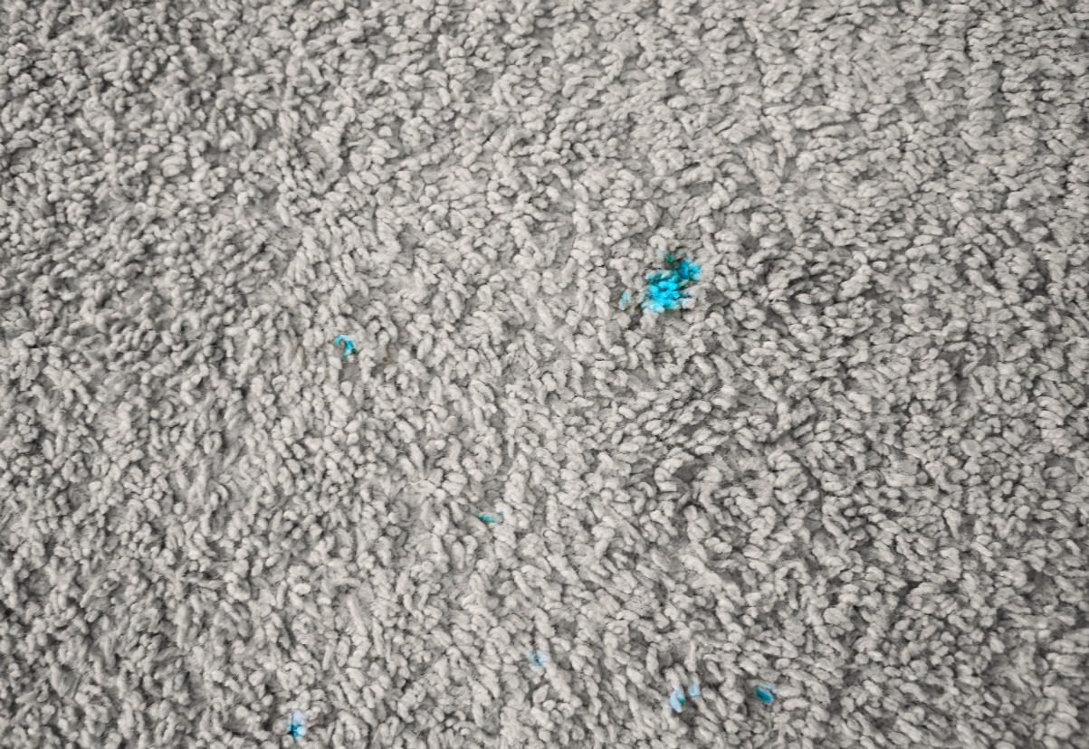 5 Proven Methods to Get Permanent Marker Out of Carpet