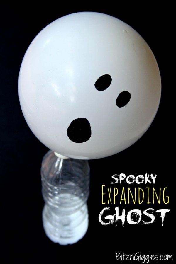 23+ Halloween Science Experiments for Preschool & Elementary Students